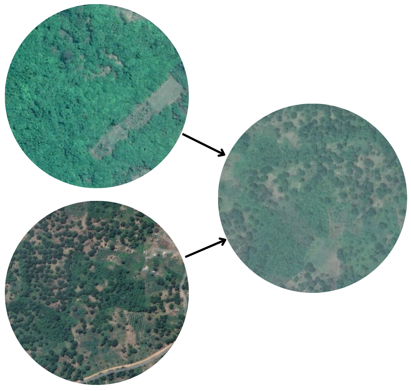 Bridging domains: Assessment of Domain Adaptation methods for mapping ...